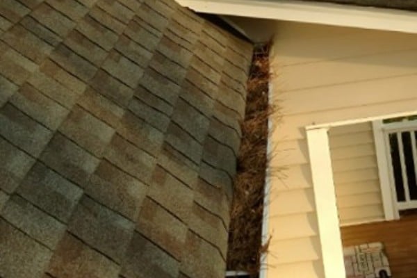 5 Star Gutter Cleaning in Medford OR - Rogue Pro Softwash